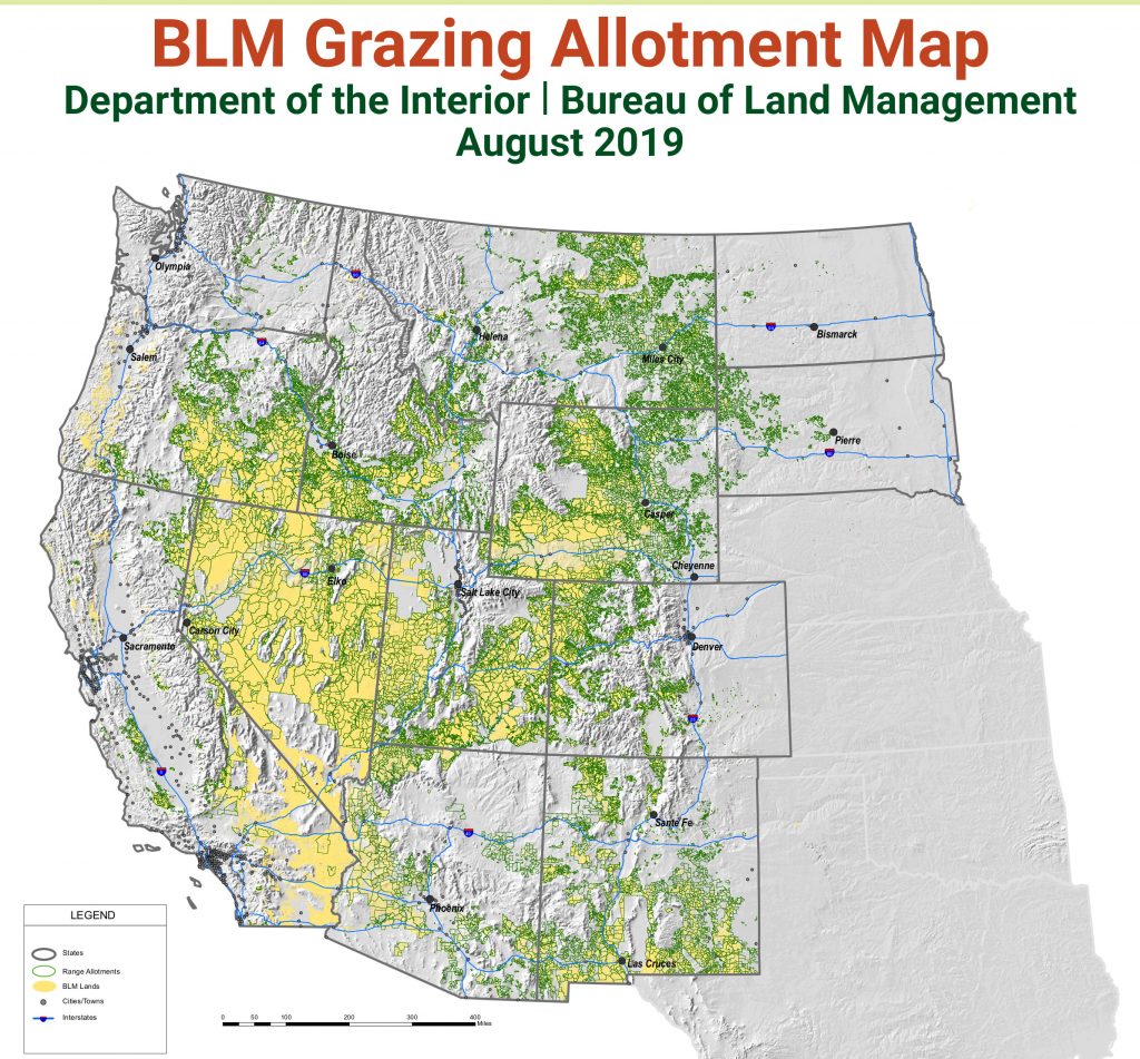 Grazing Regulations Revision ~ Proposed Alternative - Western ...