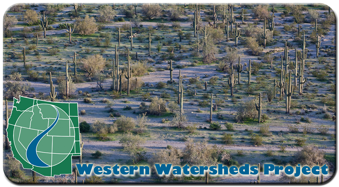 TAKE ACTION! Help Protect the Sonoran Desert National Monument ...