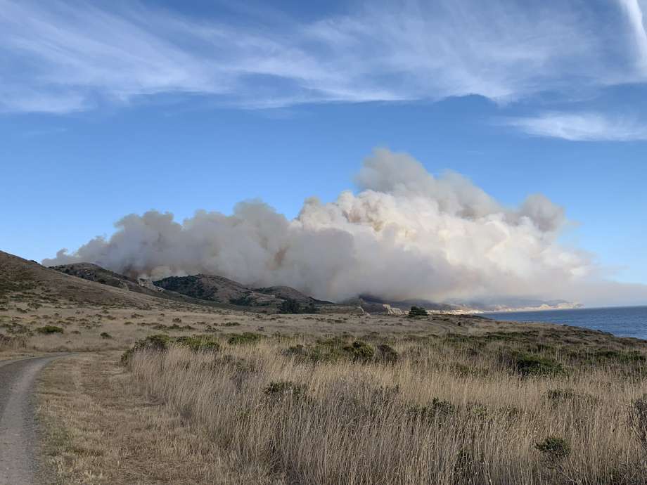 Drought and Wildfire Threaten Tule Elk at Point Reyes National Seashore ...