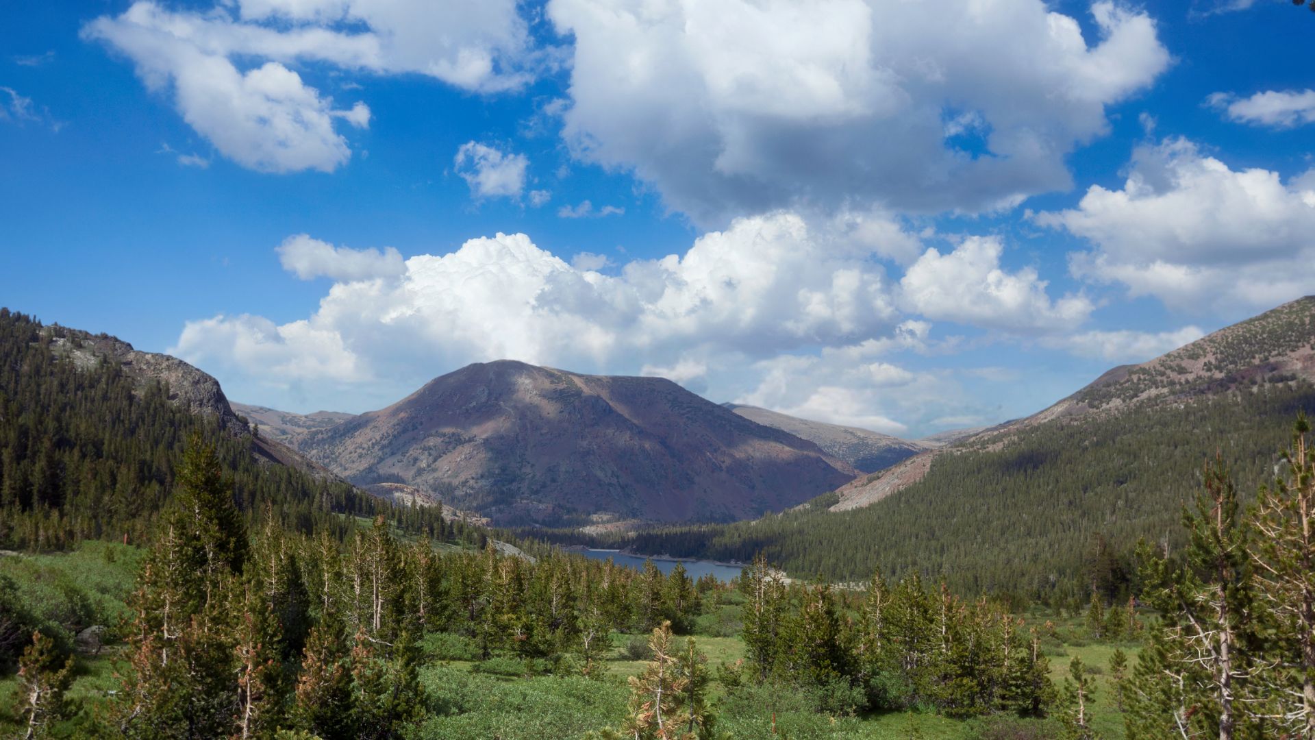 Appeals Court Reverses USFS Approval of Gold Drilling in Calif. Eastern ...