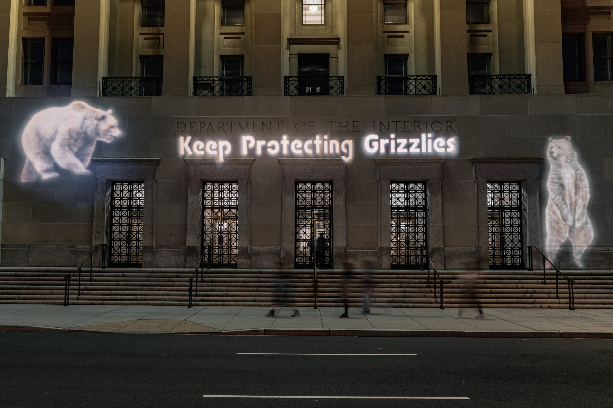 Wildlife Activists Urge Continued Grizzly Bear Protections - Western Watersheds Project